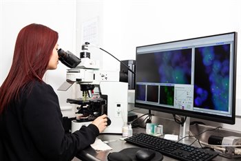 Partnering in the Pursuit of Scientific Breakthroughs » WiCell