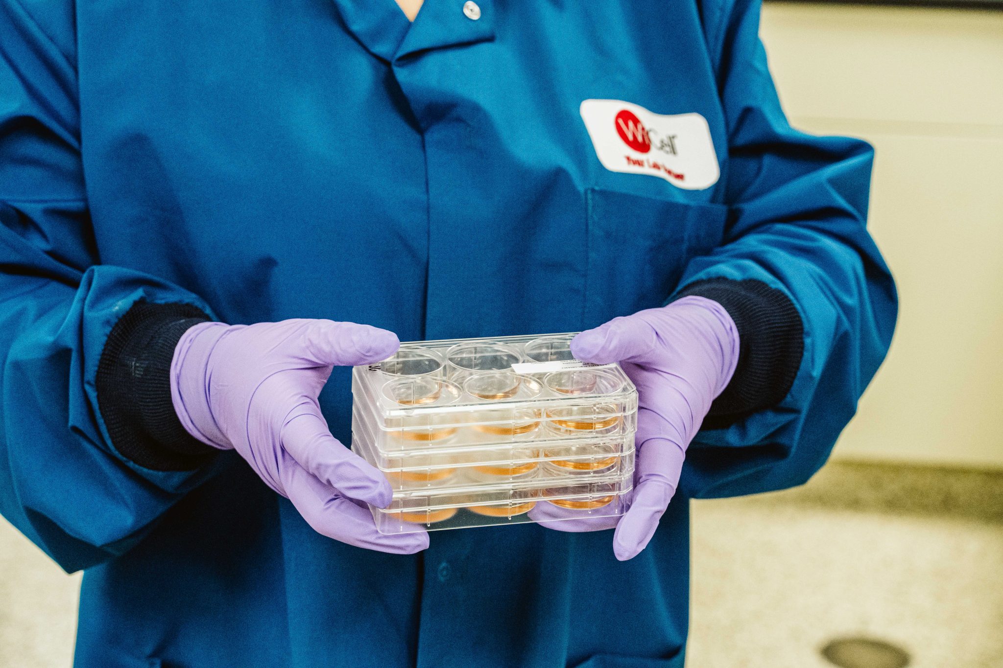 WiCell Research Institute: Stem Cell Banking and Cell Line Characterization