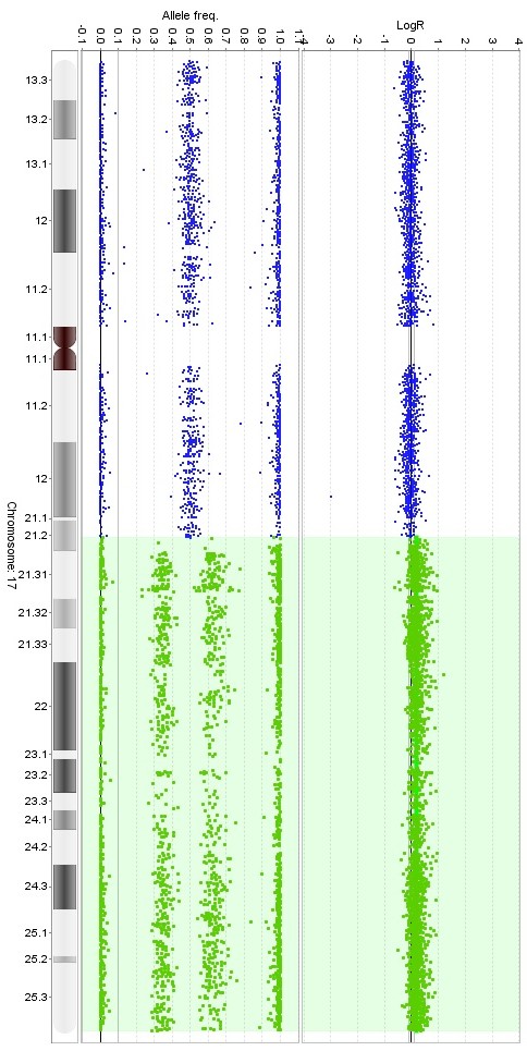 Single Nucleotide Polymorphism (SNP) Microarray - WiCell Single Nucleotide Polymorphism (SNP) Microarray - WiCell